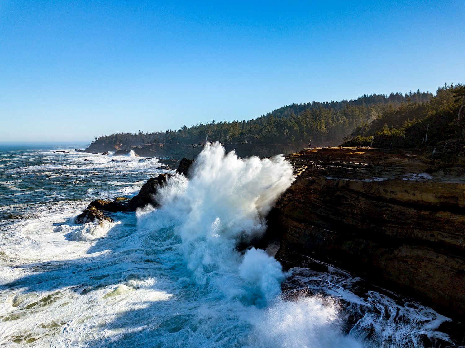 Hotel Near Shore Acres State Park - 16 miles from Quality Inn Coos Bay